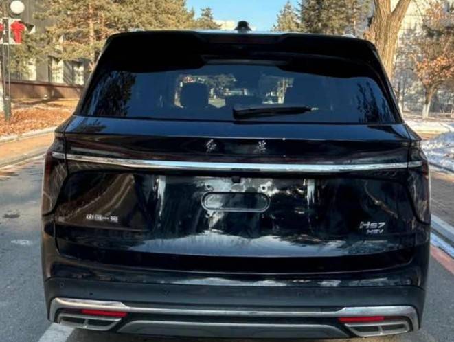 红旗HS7“省油版”申报图曝光，造型霸气，能提升车系销量吗？_搜狐汽车_搜狐网