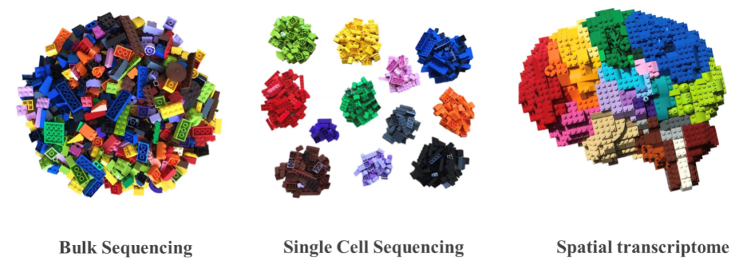 空间转录组的前世今生_技术_细胞_信息