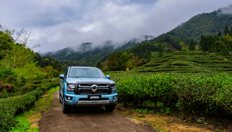 2.0T+8AT黄金动力组合，长城金刚炮8AT上市售价9.98万起_搜狐汽车_搜狐网