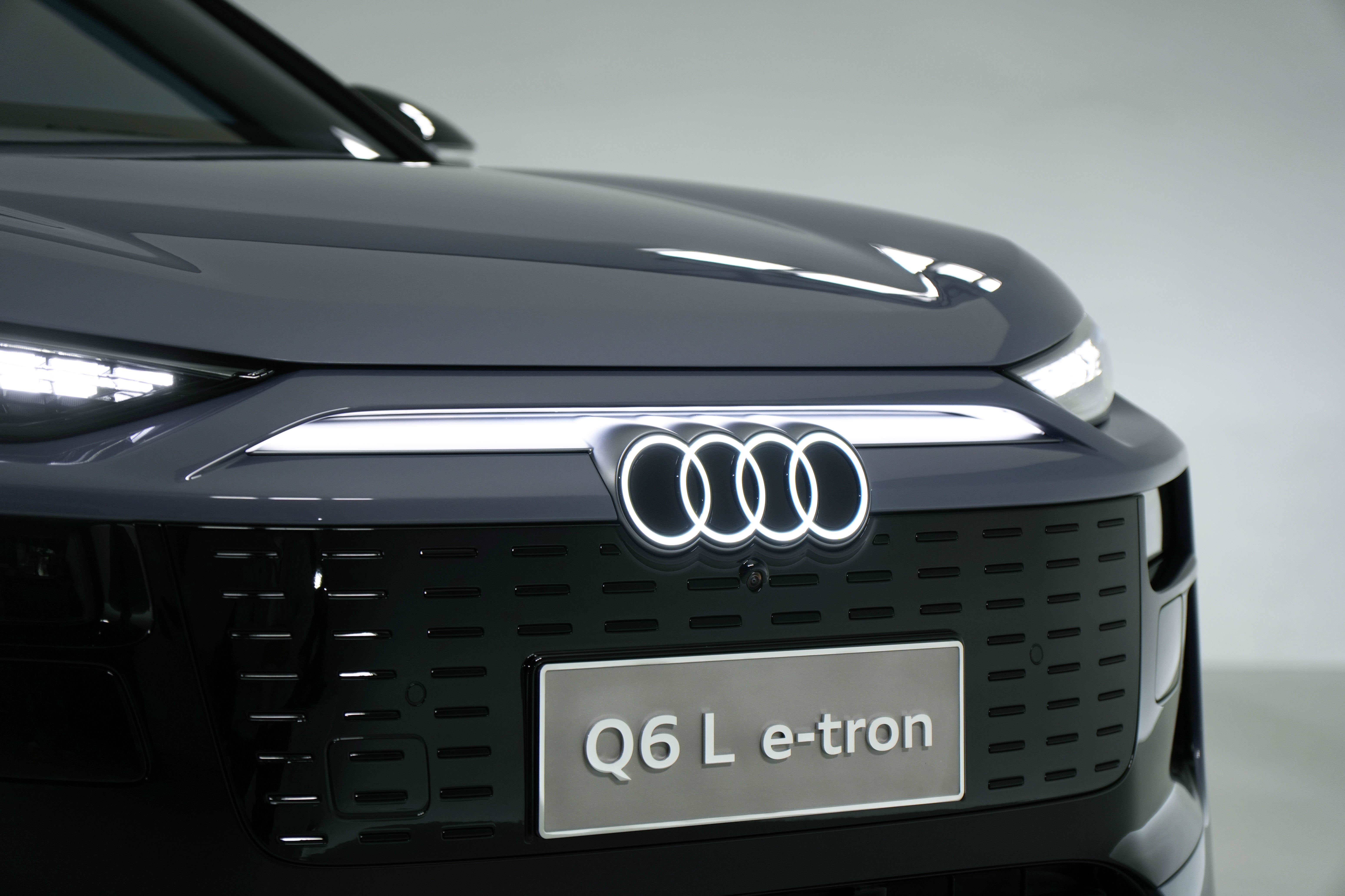 做最懂中国市场的奥迪，Q6L e-tron全球首发_搜狐汽车_搜狐网