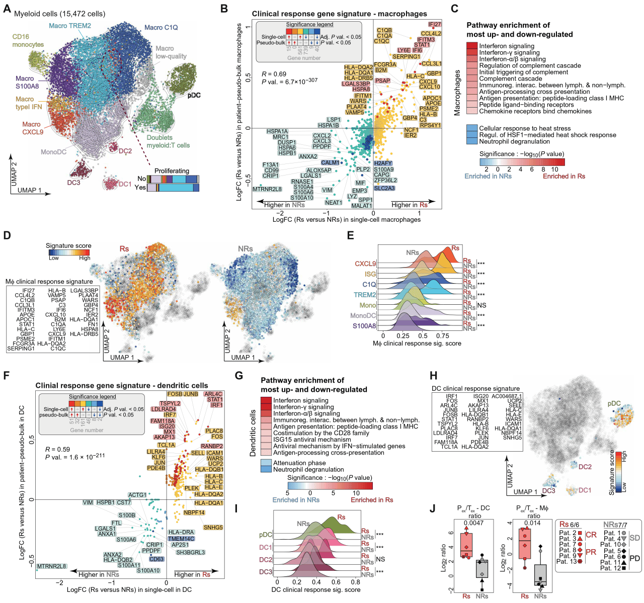 Sci Immunol（IF=24.8）| 单细胞联合多组学揭秘CD8+ T细胞网络如何助力黑色素_研究_患者_肿瘤