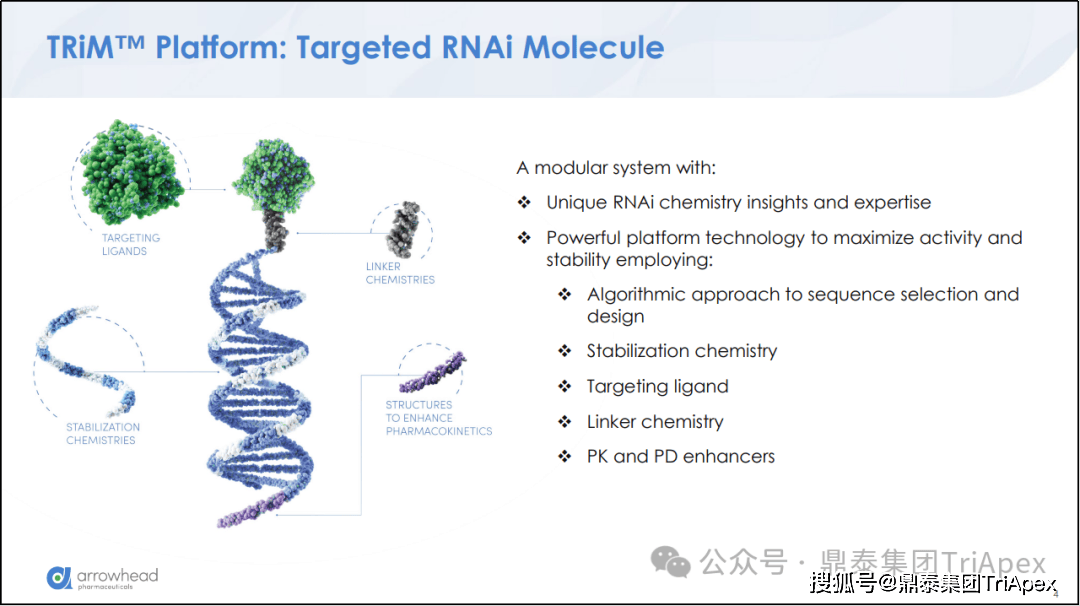 不怕贴秋膘！ ALK7 siRNA 脂肪递送、精准减脂，鼎泰 KBI 打造影像学小蛮腰_today_临床_药物