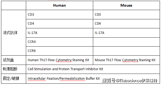 Elabscience探索Th17细胞：分化、功能及检测鉴定方法_免疫_流式_naive