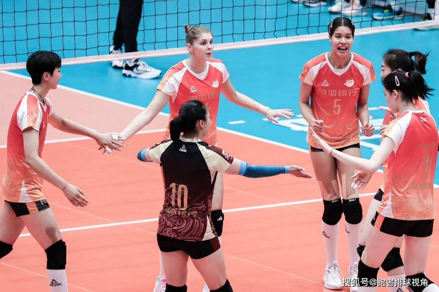 15点30分！CCTV5直播揭幕战，上海女排是看点，江苏被区别对待_比赛_外援_赛季