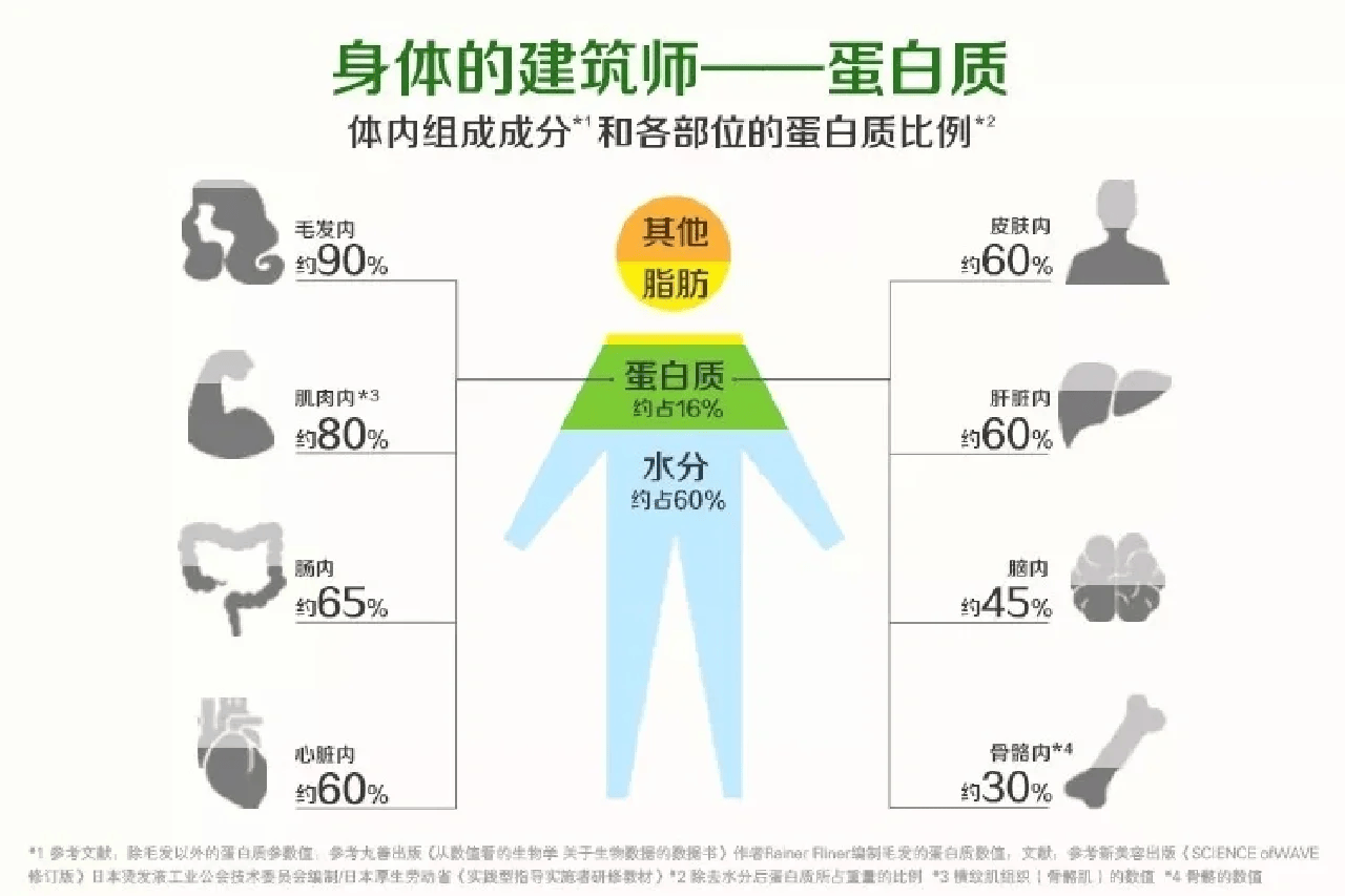 别忽视！中老年缺乏蛋白质营养，正悄悄威胁他们的健康补充身体弗洛莱