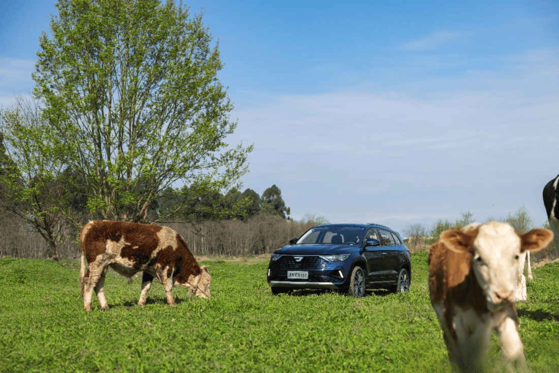 8万买纯正德系中型SUV，全新捷达VS7的多面性探索_搜狐汽车_搜狐网