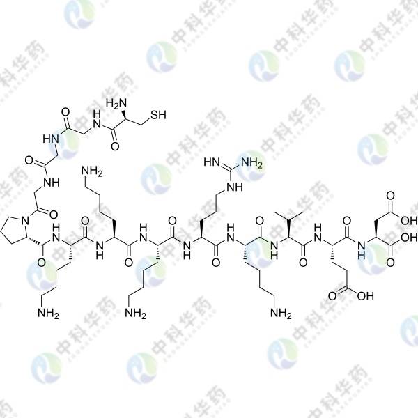 多肽定制合成：SV40 large T antigen NLS（163815-24-5）_细胞核_过程_研究