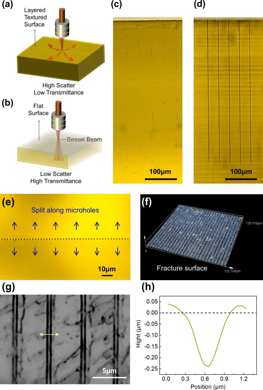 北京理工大学姜澜院士、韩伟娜研究员课题组《Addit. Manuf.》：具有高三维能力和高结构精度的定制微针的制造_加工_贝塞尔