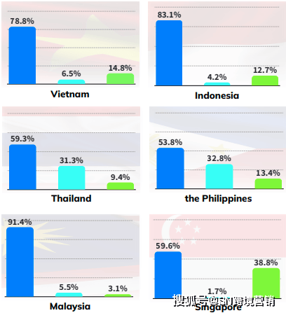 东南亚体育与户外用品电商市场概览_印尼_品牌_越南