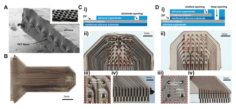 Intan Technologies RHD 2164 64通道放大器精确定位的电生理信号的能力_电极_的设备_阵列