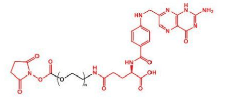 NHS-PEG-FA NHS-PEG-Folic Acid NHS-Folate活性酯-聚乙二醇-叶酸_药物_反应_细胞