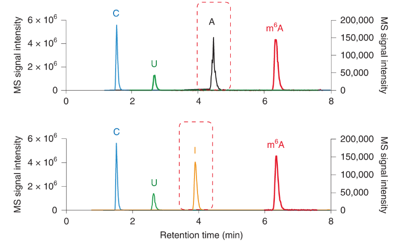 经验分享：转录组测序（RNA-seq）下游实验验证全攻略_进行_Immunol_基因