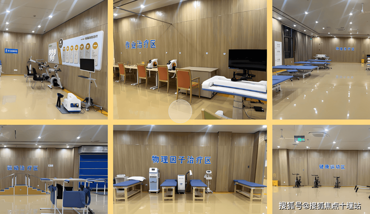 上海香树湾养护院首页网站-2025最新地址电话_护理_老年人_服务