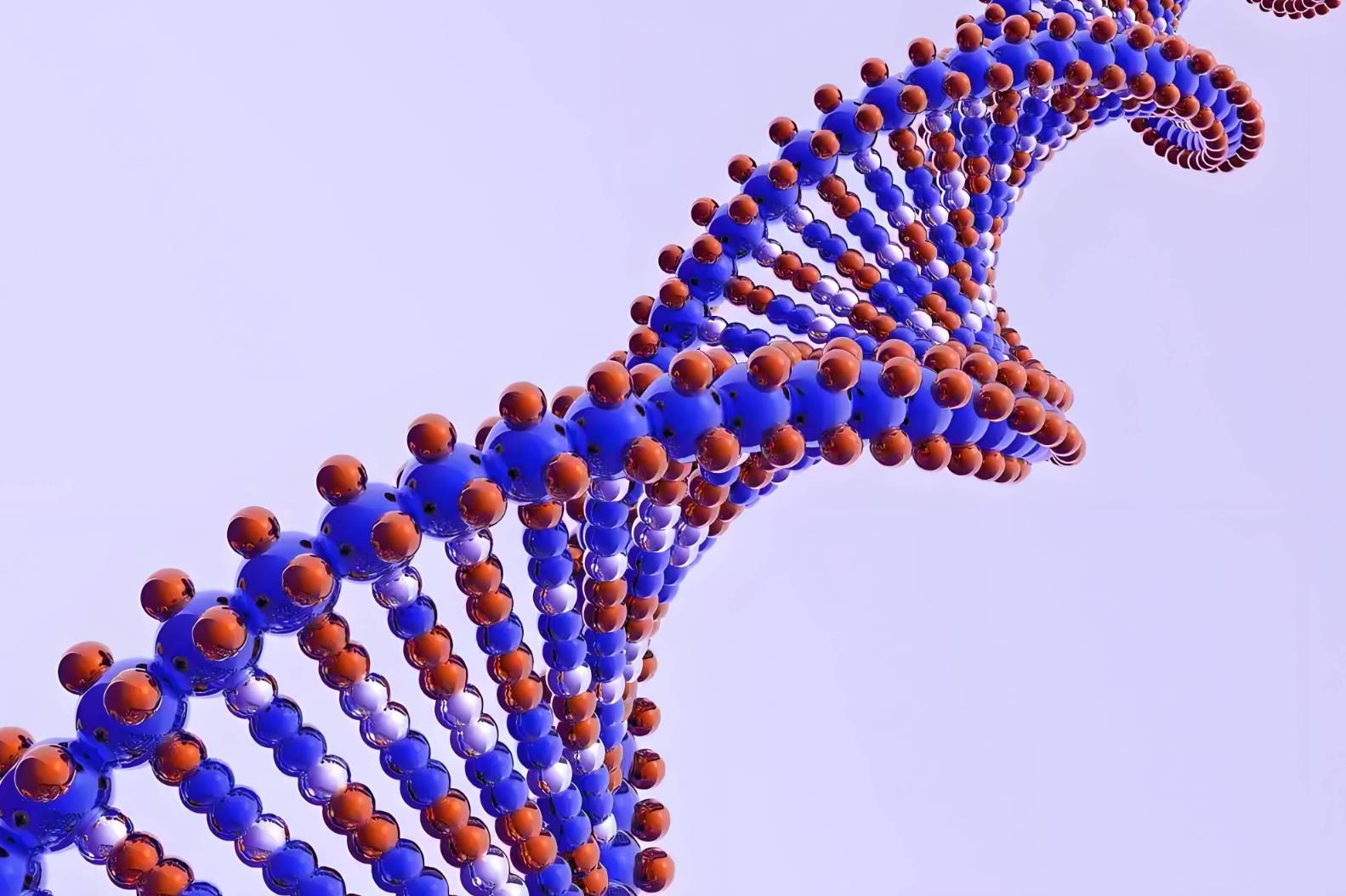 探秘： DNA、染色体和线粒体之间的奇妙关系_细胞核_遗传物质_生命