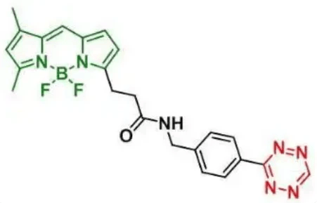 Boron Dipyrromethene Fluoride Tetrazine，可实现对生物过程的追踪和观察_产品说明_技术文章_陕西新研博美 ...