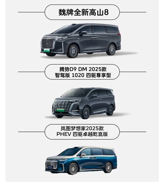 全新高山震撼登场，这三款国产MPV带你读懂高端出行选择_搜狐汽车_搜狐网