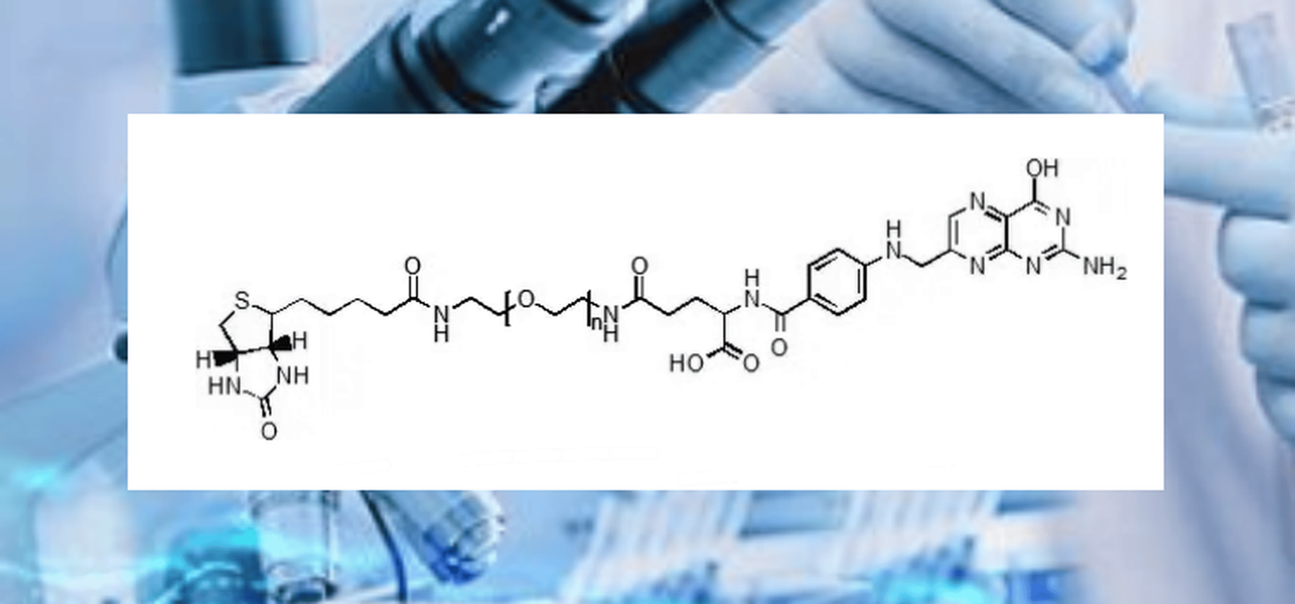 Folic acid-PEG-Biotin，叶酸聚乙二醇生物素用于蛋白质分离和纯化等领域