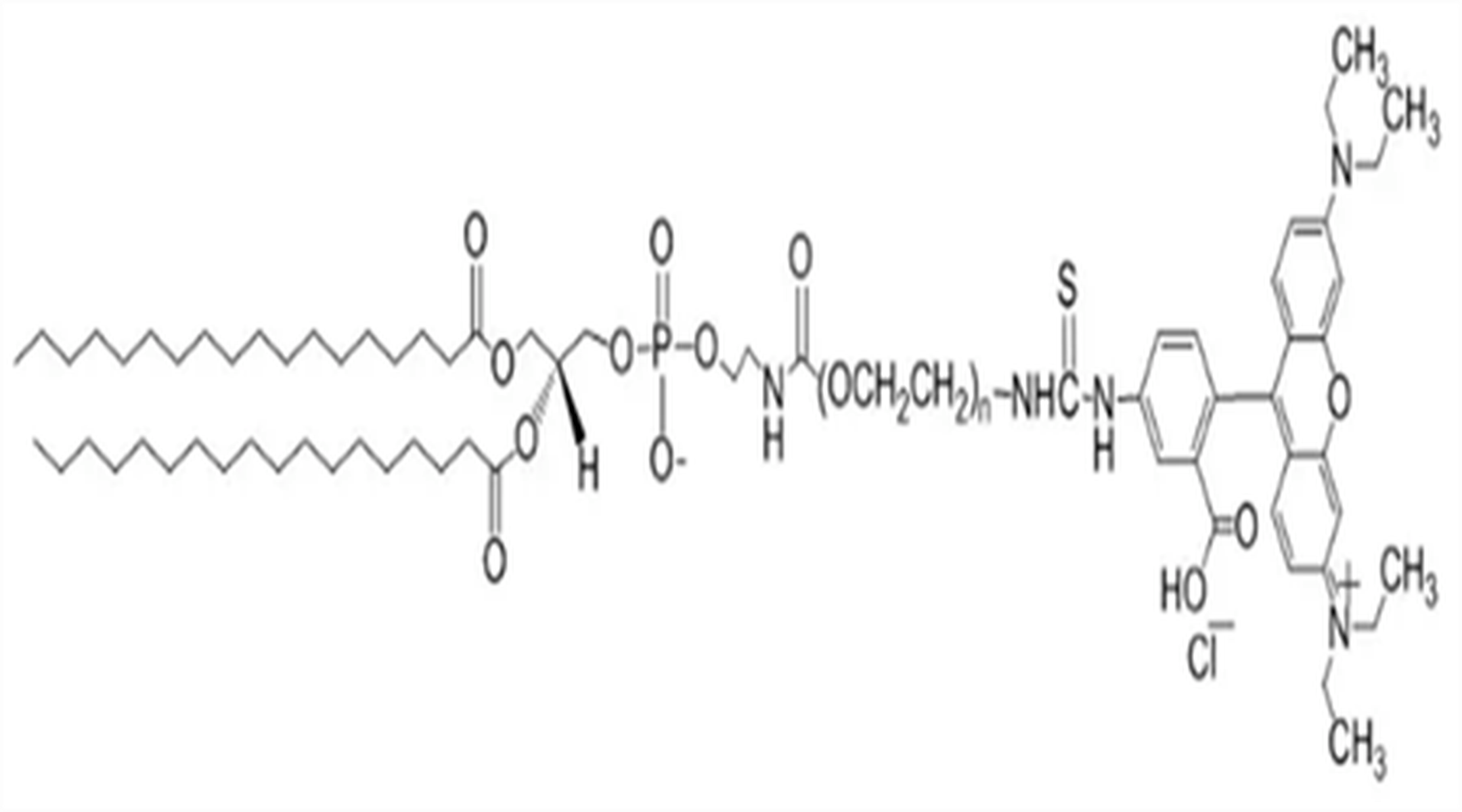 DSPE-PEG-Rhodamine，用于科学研究