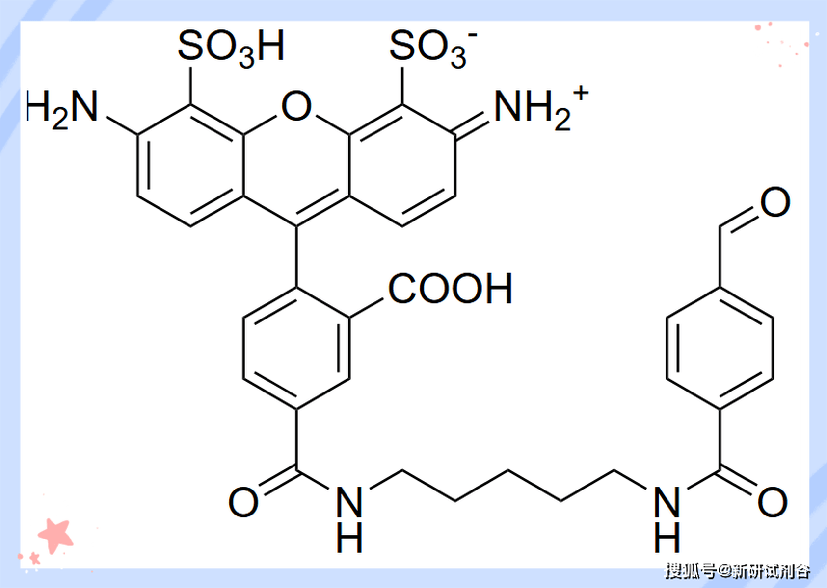 AF488 Aldehyde，Alexa Fluor 488 醛用于流式细胞术、显微镜成像、蛋白质组学以及细胞生物学研究中