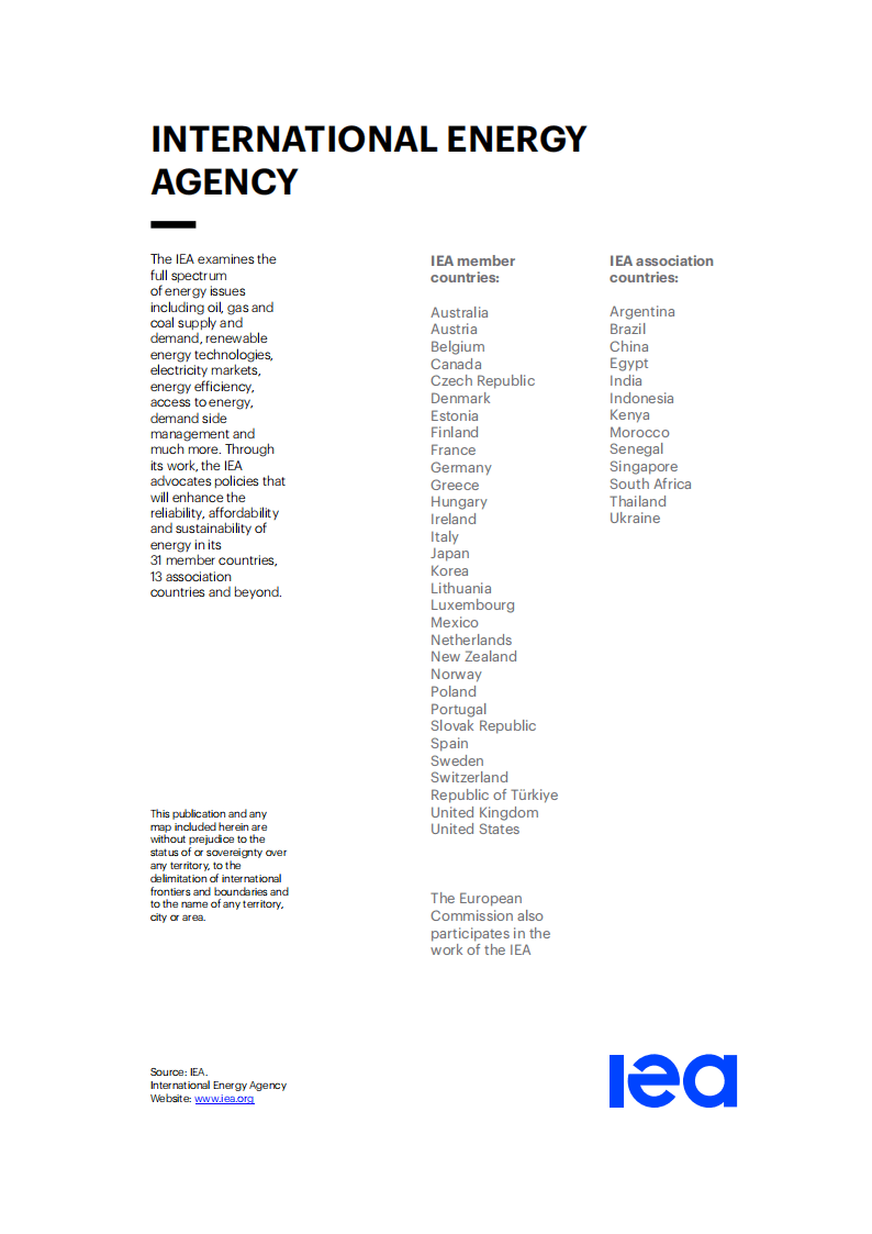 国际能源署IEA：2024年可再生能源报告-分析和预测至2030（英文版_全球_政策_燃料