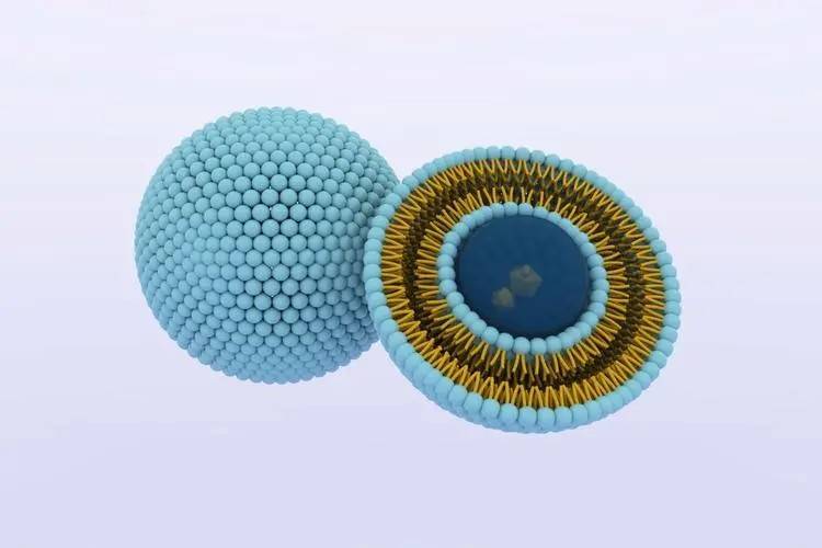 MAL-PEG-DMG DMG-PEG-MAL/Maleimide 马来酰亚胺-聚乙二醇-二肉豆蔻酰甘油_药物_组织_细胞