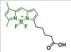 217075-24-6，BODIPY FL C5可以作为前体合成各种荧光磷脂，用于标记细胞膜_ester_试剂_成像