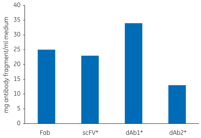 抗体片段大揭秘_Fab_Protein_dAb