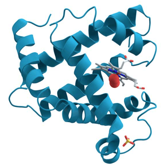 多肽合成， Calcitonin (porcine)，Cys-Pro-NH2 (Cys1,7 disulfide bridge)_搜狐网
