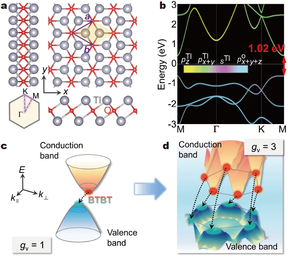 南京理工大学张胜利等：基于隧穿宽度调制的具有超高开态电流的二维Tl2O隧穿场效应晶体管_The_and_Figure