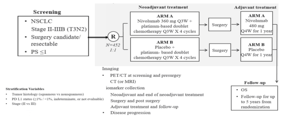 新辅助免疫不足四个周期「 问题不大 」，如何看待 CheckMate 77T 的最新结果？_治疗_患者_研究