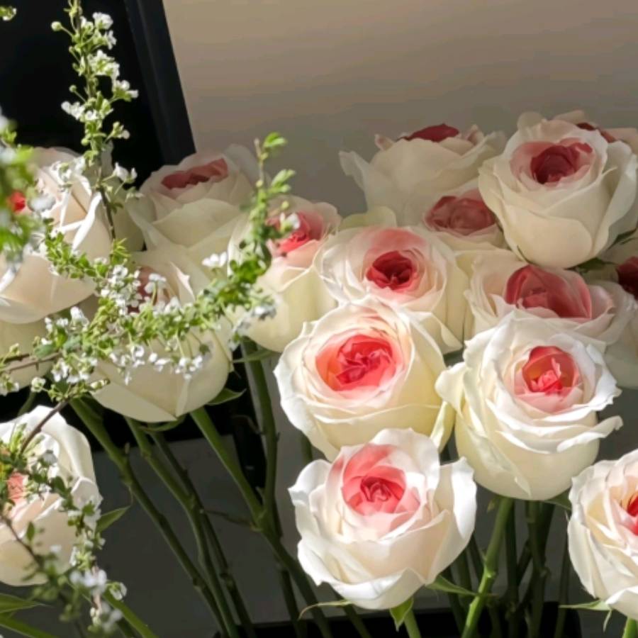 山东14岁初中生提出CredalTransformer架构解决大模型幻觉研究成果被人工智能顶会NeurIPS 2025录用_Neural_注意力_问题