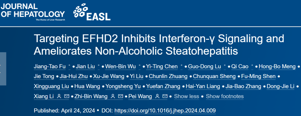 J Hepatol | 海军军医大学王培/王志斌/李翔发现靶向EFHD2抑制干扰素-γ信号并改善非酒精性脂肪性肝炎_研究_细胞_炎症
