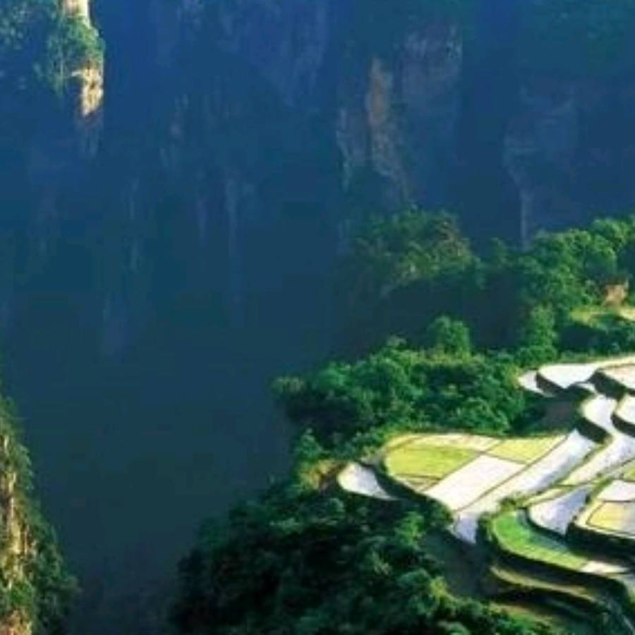 2025年ChatBI+Agent实战手册-DataFun_分析_数据_智能