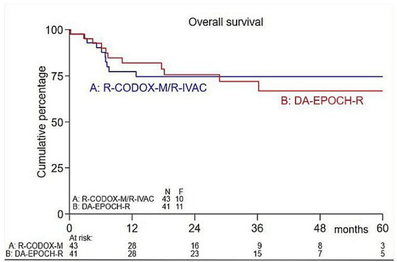 赵东陆教授：伯基特淋巴瘤指南要点解读丨2024年金陵淋巴肿瘤论坛_细胞_预后_患者