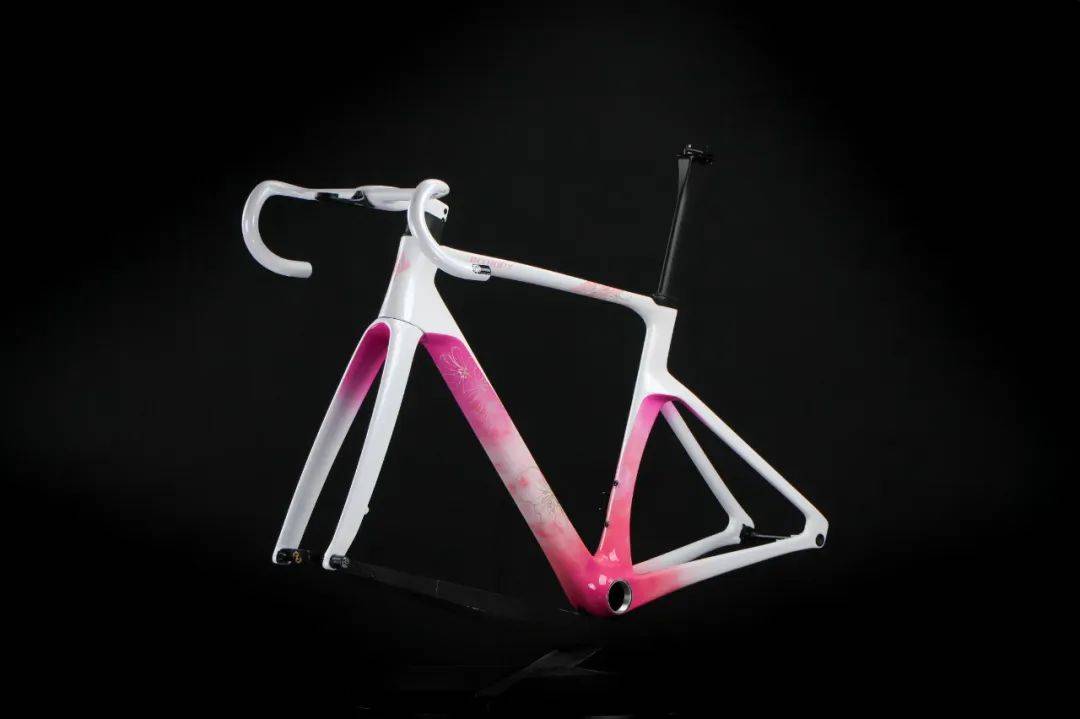 【P11再起】incolor “全局最优解” INTROPY SPEEDSTER公路车发布_搜狐汽车_搜狐网