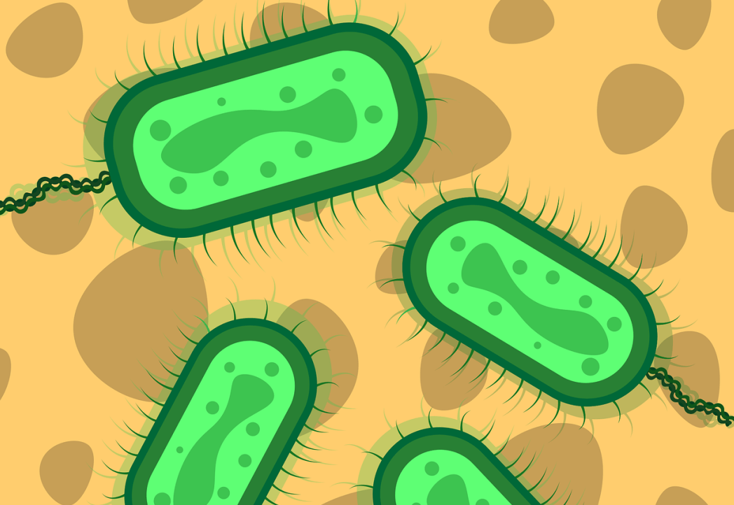 Nature | 细菌放“毒”，绵里藏针_LnaB_宿主_蛋白