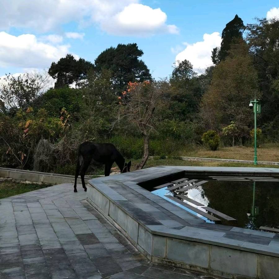 未来战场：AI赋能无人作战新范式_Anduril_芯片_服务