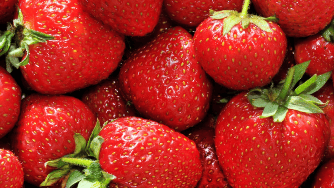Egypt strawberry exports reach 45 thousand tons_of_The_in