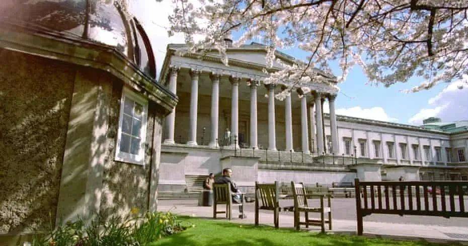 盘点UCL新开6个本科专业，2025年申请英国G5可冲！_管理_社会_A-level