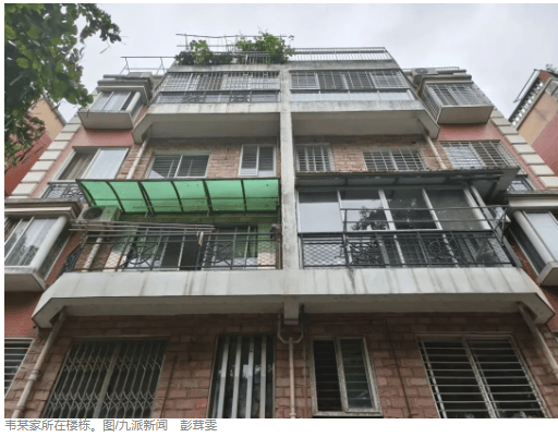 柳州少年被从天而降的树根砸中！不幸身亡！一审宣判了：树根的主人被判刑6年！_韦某_涉案_树桩