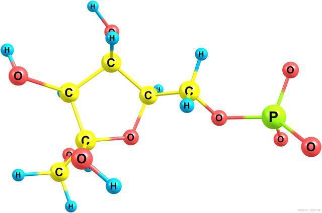 「渝偲分享」sulfo cy5-mal水溶性CY5马来酰亚胺细胞示踪免疫染色_成像_-Mal_Sulfo-Cy