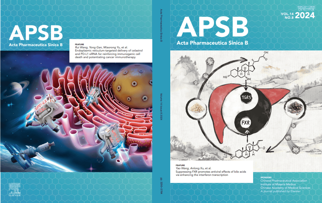 【APSB】2024年8期_in_Wang_团队