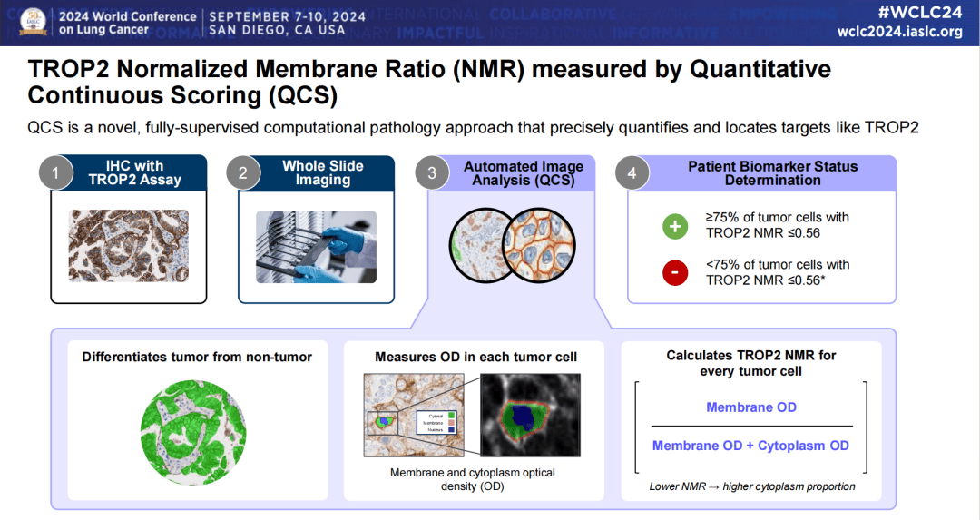 经 QCS 计算的 TROP2 可有效预测 Dato-DXd 治疗预后，开启 ADC 治疗新篇章_TROPION-Lung_研究进展_人群