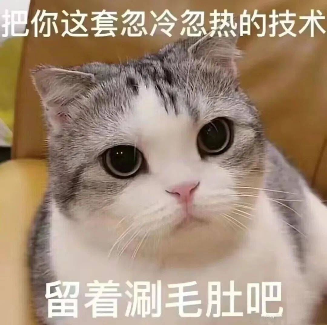 我被QS 18悉尼大学录取，面试官特意打电话来夸我！_作品集_同学_项目