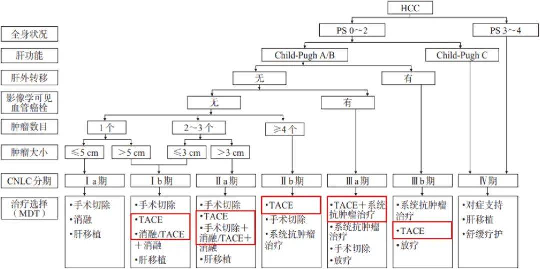 肝癌介入治疗：指南首推 TACE，而临床常用 HAIC，为什么？怎么选？_化疗_非手术_肿瘤
