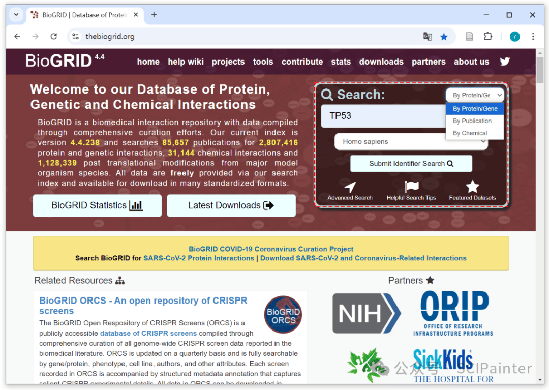 如何查找互作蛋白？_预测_BioGRID_网络图