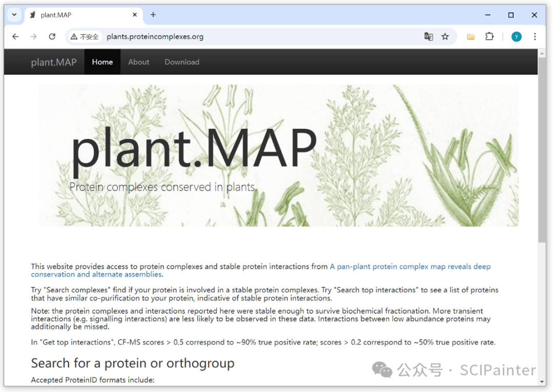 如何查找互作蛋白？_预测_BioGRID_网络图