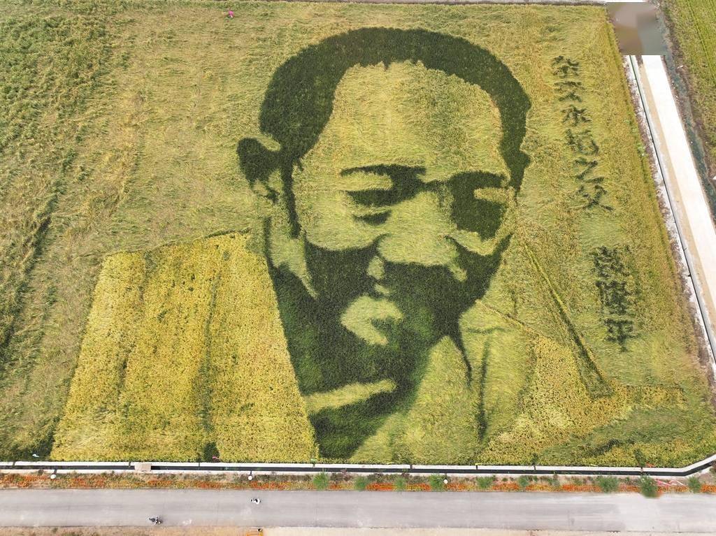 山东临沂：袁隆平稻田画秋意浓 水稻试验田丰收在望_视觉_图片_来源