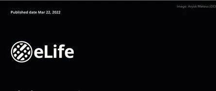突发！著名期刊eLife被On hold！_科睿_文章_官方