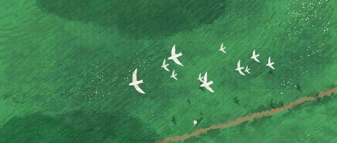 非常值得共勉_枝条_rooted_flow